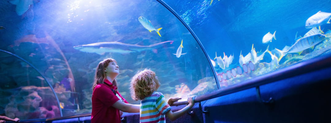 Parking for Sea Life London Aquarium